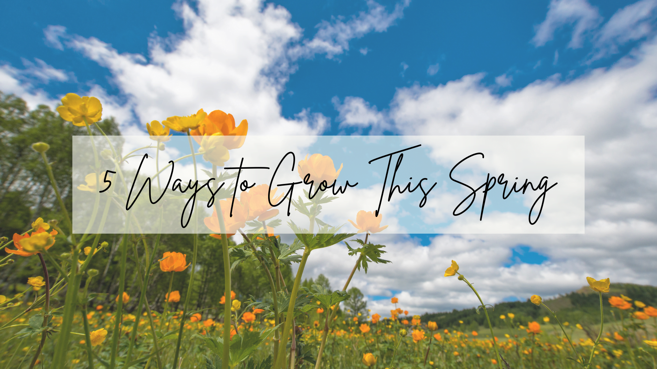 5 Ways to Grow This Spring - Rosati Nutrition